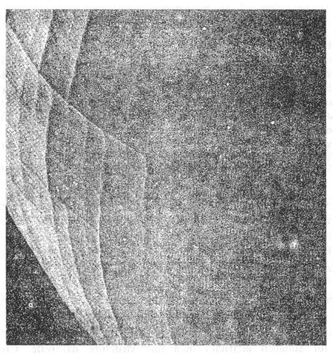 Lœil De La Langouste Le Cep