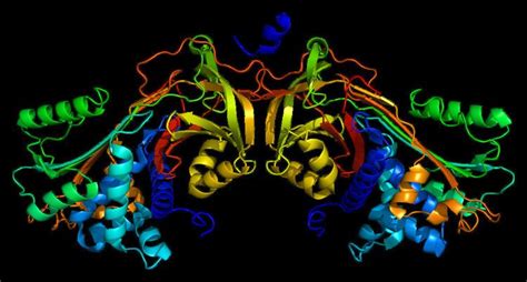 Heparin Cofactor Ii Alchetron The Free Social Encyclopedia