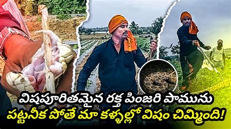 వషపరతమన రకత పజర పమన పటటనక పత మ కళళలల వష చమమద YouTube