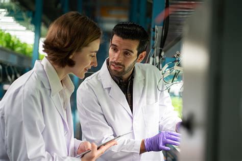 남성과 여성 과학자는 흰색 유니폼을 입고 토론 분석 및 실내 수직 농장에서 자라는 유기농 수경 채소 플롯에 대한 연구를 연구합니다 2명에 대한 스톡 사진 및 기타 이미지