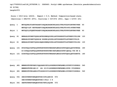 Ppt Sequence Similarity Searches Powerpoint Presentation Free Download Id 4582682