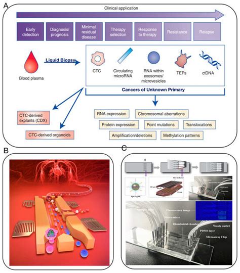 Biosensors An Open Access Journal From Mdpi