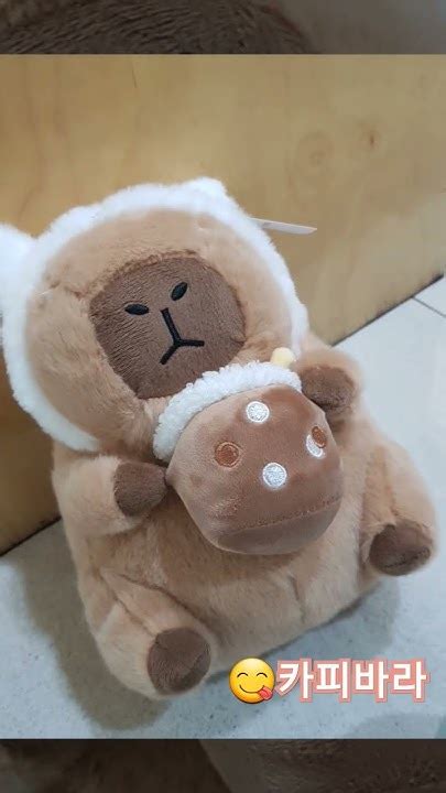 내 친구 카피바라 달빛이윤서공주 Youtube