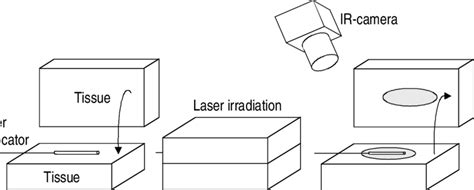 2 Experimental Set Up For Measuring The Two Dimensional Temperature