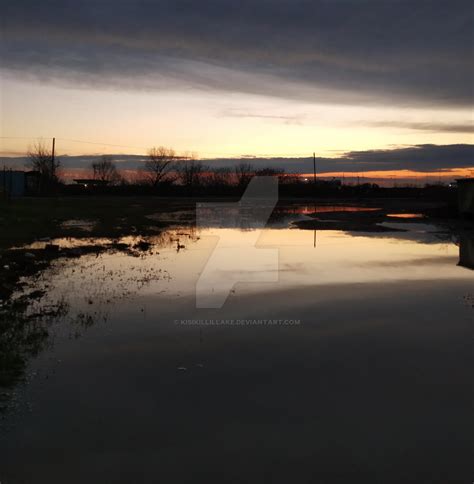 Odderror 8 By Kisikillillake On Deviantart