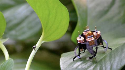 Tiny Shape Shifting Robot Could One Day Be Used To Perform Surgery