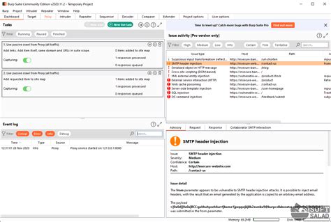burp suite professional — скачать программу для тестирования