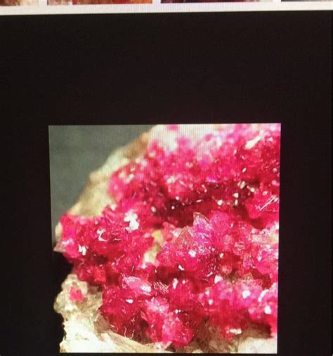 🌹roselite🌹 Gemsona • Steven Universe Br • Amino