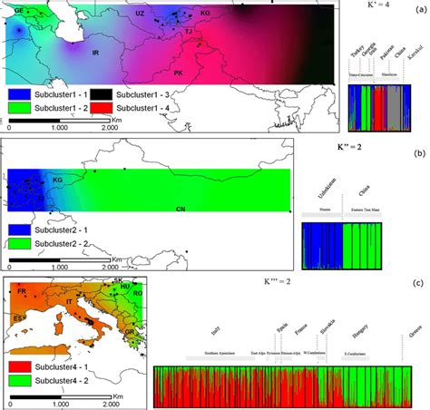 Spatial Genetic Sub Structure Of The Inferred Clusters 1 2 And 4 Of Download Scientific