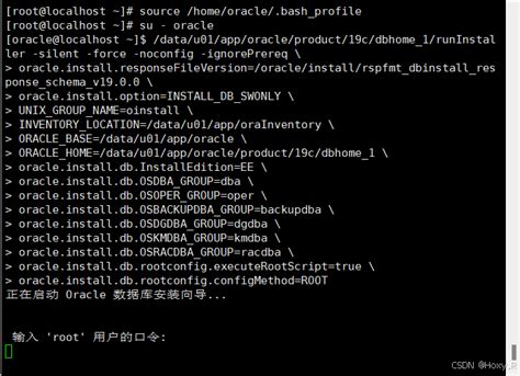 在centos7 9下静默安装oracle19c详细流程 centos7 9安装oracle19c csdn博客