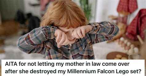 His Mom Didnt Approve Of His LEGO Hobby So She Destroyed It And Then Her Son Banned Her From