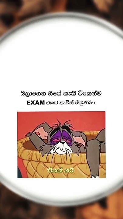 අනේ අයියේ අපි ඉවරයි 😂🤏 Youtube