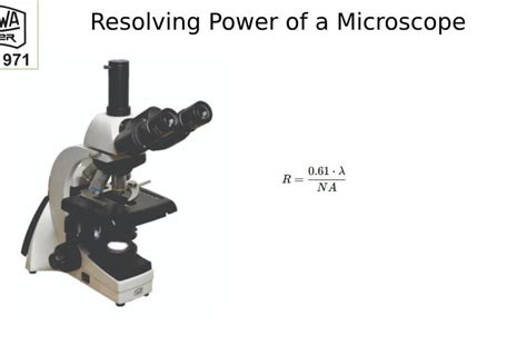 Microscope Magnification What Does It Really Mean For Your Research