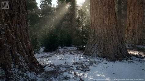 Another Masterpiece By Mawi Redwood Forest Unreal Engine 51 Youtube
