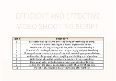 Efficient And Effective Video Shooting Script Excel Template Free