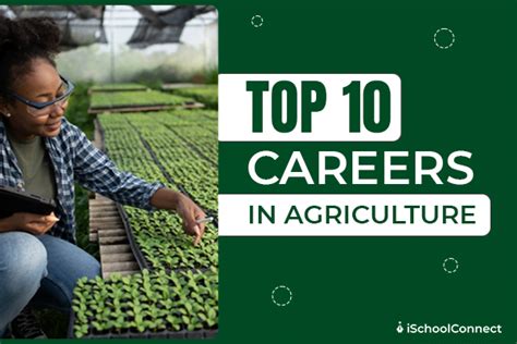 Career Opportunities In Agriculture