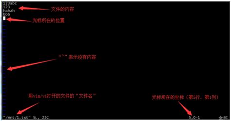 Linux系统常用的20个命令（适合新手练习）linux常用命令练习 Csdn博客