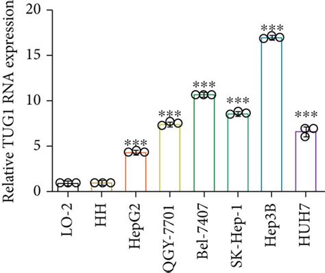 Tug1 Is Elevated In Hcc Cells And Controls The Siglec 15 Expression Download Scientific