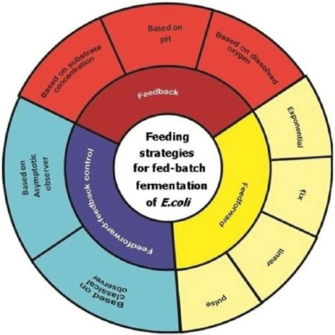 Pdf Control Algorithms And Strategies Of Feeding For Fed Batch Fermentation Of Escherichia