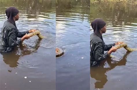 Woman Playing With Python In The River Video