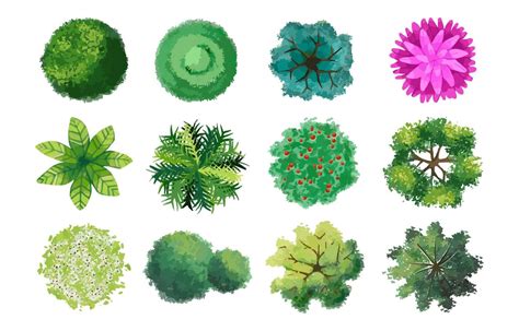 Architecture Tree Top View Drawing 8167689 Vector Art At Vecteezy