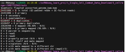 Duplicated是重复的reads，那deduplicated又是什么？ 腾讯云开发者社区 腾讯云