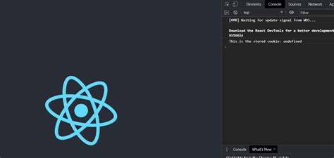 How To Convert A React App To A Mobile App And Persist Session Cookies Using React Native