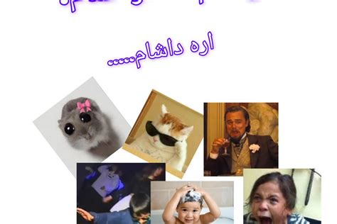 انواع ادم ها درحمام تستچی