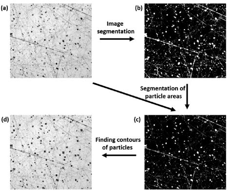 Figure Si3 1 Step By Step Procedure For Particle Location Extraction