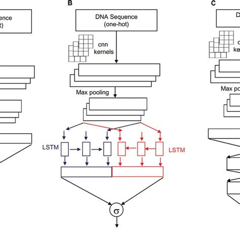 Deep Learning Models The Table Shows The Deep Learning Model