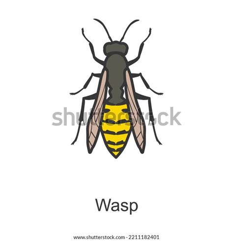 Insect Wasp Vector Iconcolor Vector Icon Stock Vector Royalty Free