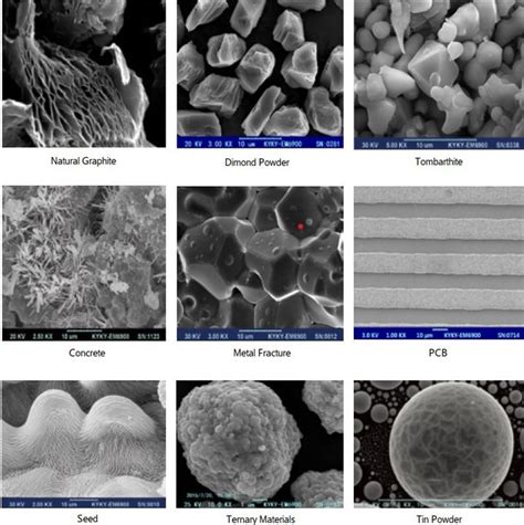 8x 300 000x Scanning Electron Microscope 3 6nm Resolution Ebsd Ebsd