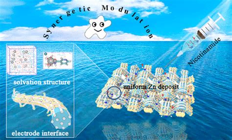 Synergetic Modulation On Solvation Structure And Electrode Interface Enables A Highly Reversible