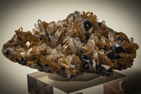 รูปภาพcawk เลือกดูภาพถ่ายสต็อก เวกเตอร์ และวิดีโอ1597 Adobe Stock