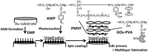 A Glucose Sensor Prepared Using Phosphorylcholine Polymers Containing