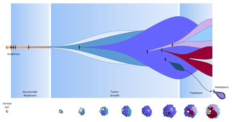 Clonal Evolution Model Understanding Pancreatic Cancer Blog