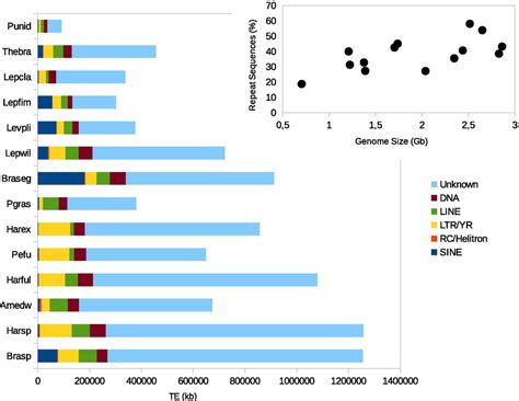 Tes Proportions In 14 Annelid Genomes The Global Tes Content Of Each