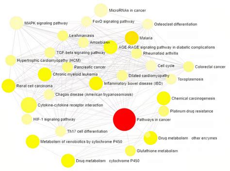 Visualization Of Network Based Pathway Enrichment Analysis Is Directly