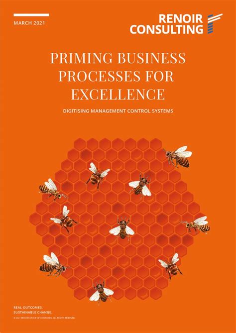 Priming Business Processes For Excellence White Paper Renoir Consulting