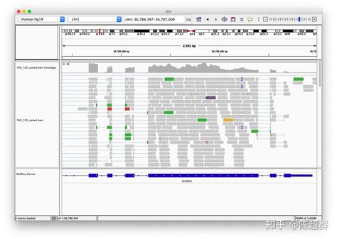 Rna Seq：转录组数据分析处理 上 知乎