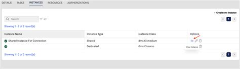 Bulk Data Load Shared Instances Amorphic Docs