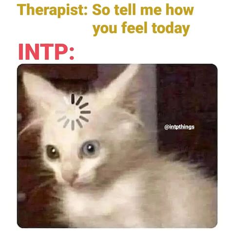 27 Intp Memes That Will Make You Chuckle