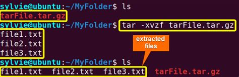 The Tar Command In Linux 12 Practical Examples
