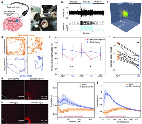 Optogenetic Stimulation For Brain Interface Communications A Left Optogenetic Stimulation For Brain Interface Communications A Left