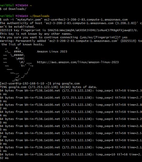 guided lab capture network traffic information with vpc flow logs to