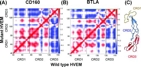 Heatmaps Of Residue Cross Correlations Between Wild Type And Mutant Download Scientific Diagram