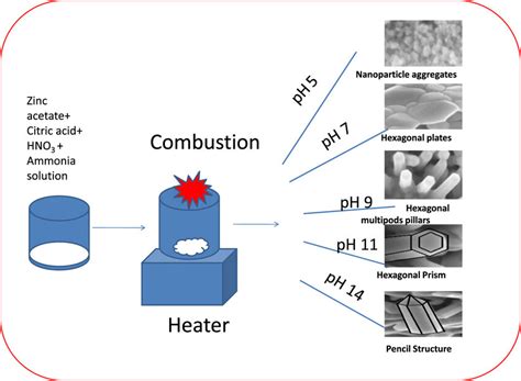 Schematic Representation Of Morphological Features Of The Zno Download Scientific Diagram