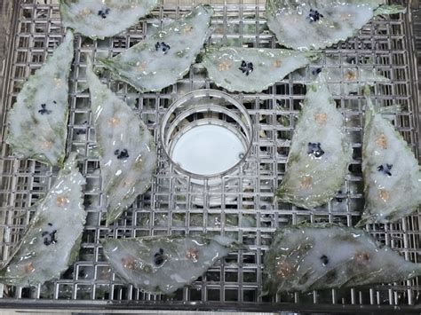 깻잎 부각 만들기 깻잎 요리 반찬 깻잎 부각 만드는 법