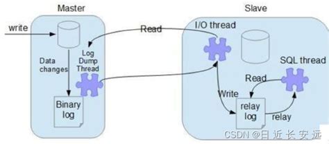 Mysql Gtid Csdn