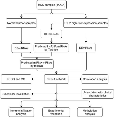 The Whole Workflow Chart Of The Study Download Scientific Diagram The Whole Workflow Chart Of The Study Download Scientific Diagram